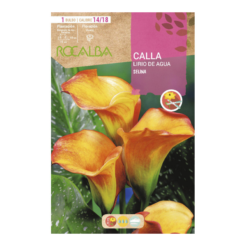 Plantas de Jardín - Todo para tu Jardín